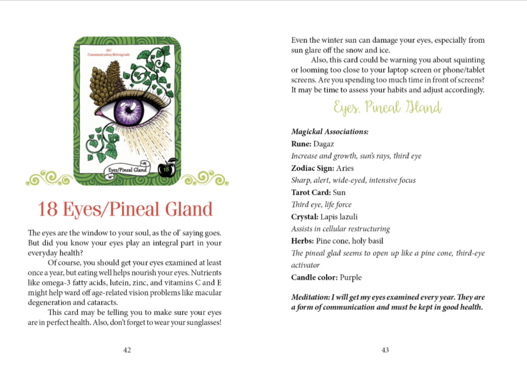 Deck Review – The Healthy Witch Oracle Cards by TJ Perkins and Jennifer ...