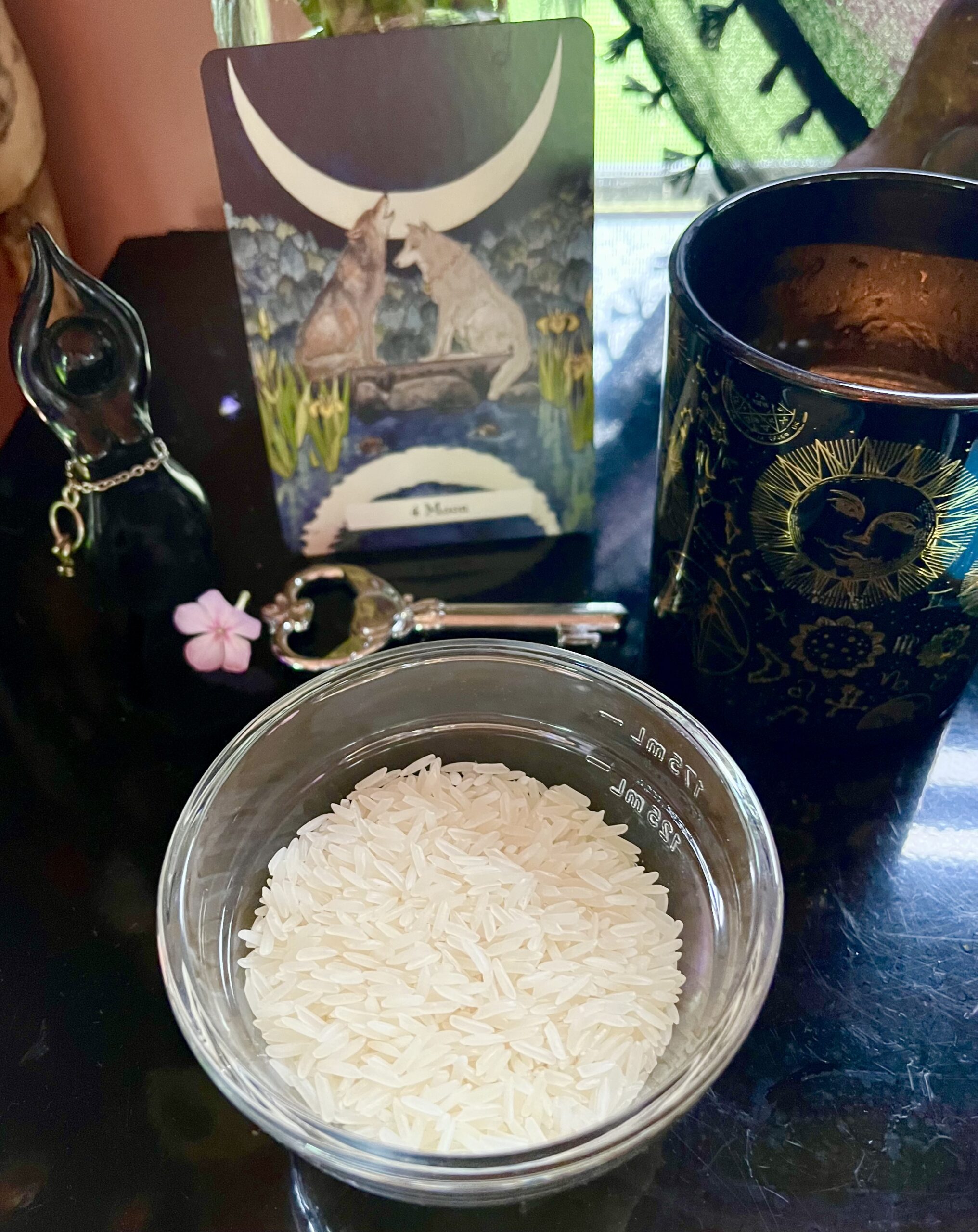 SpellCrafting: Money Rice – PaganPages.org