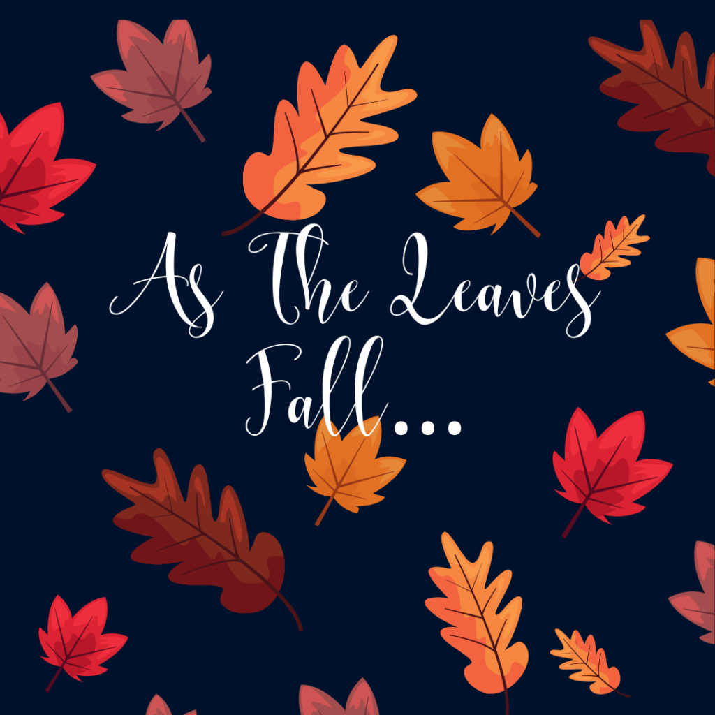 The Modern Merlin’s Corner-September 2024: As the leaves fall ...