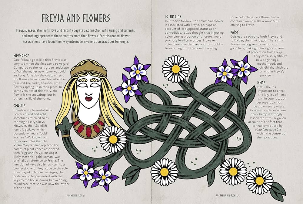 Book Review-Freyja: An Illustrated Guide to the Goddess of Magic, Love ...